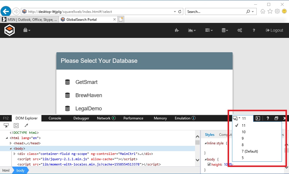 Blank Page When Loading Web Components in Internet Explorer